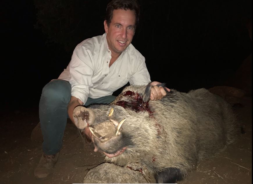 Iberian wild boar hunting package - HUNTING IN SPAIN Spain